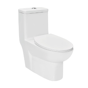 Products 'single piece wc'