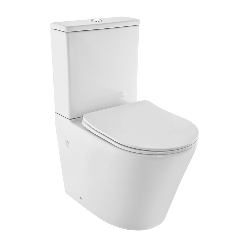 Vignette P Trap Floor Mount Rimless Toilet WC + Cistern