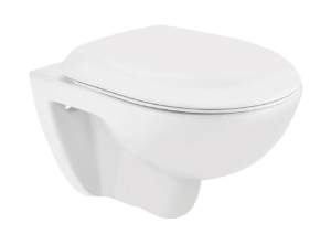 Products 'wall hung wc'