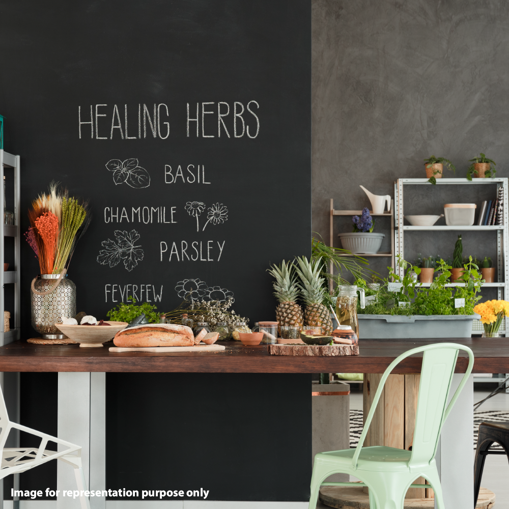 30 Indian Home Wall Decor Ideas That Are Better Than Boring