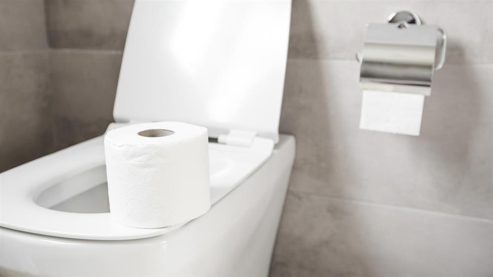 Choosing the Right Flushing System: A Comprehensive Guide