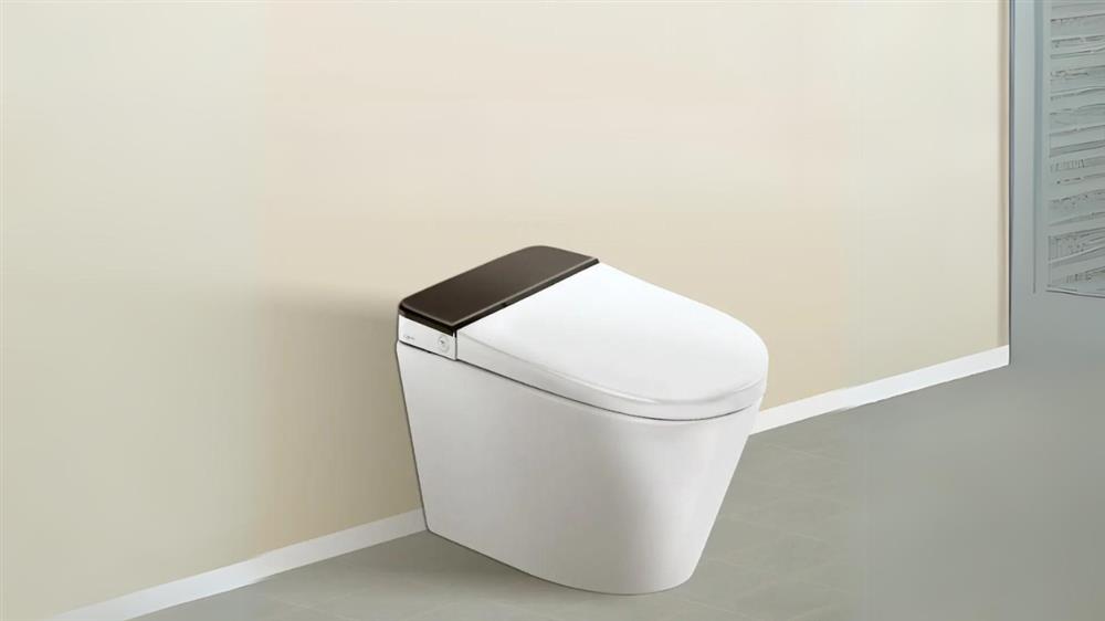 Revolutionize Your Bathroom with Efficient Flushing Systems